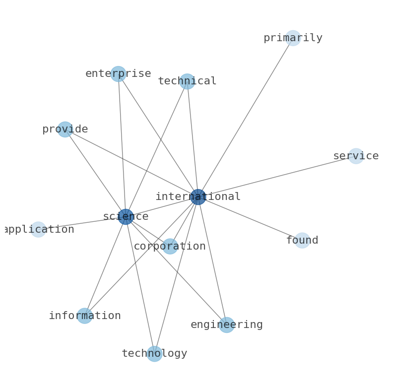 Stock Info Nets: Best Summary Graphs about Science Applications International