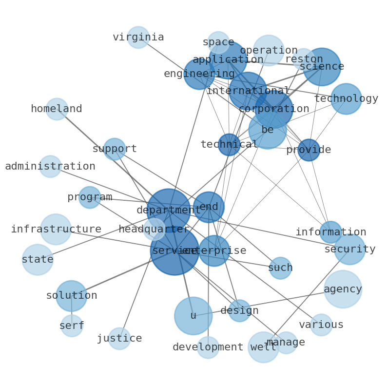 Stock Info Nets: Best Summary Graphs about Science Applications International