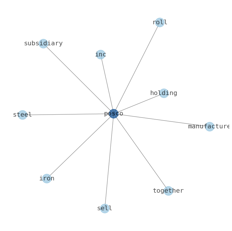 Stock Info Nets: Best Summary Graphs about POSCO